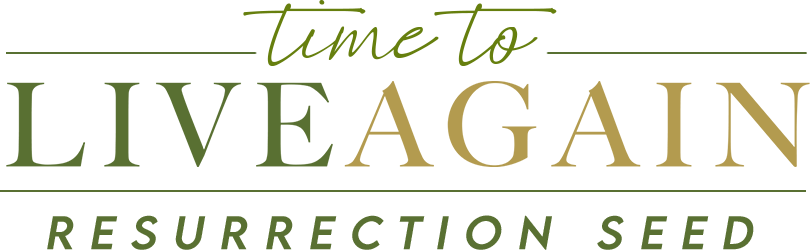 Resurrection Seed @ World Harvest Church